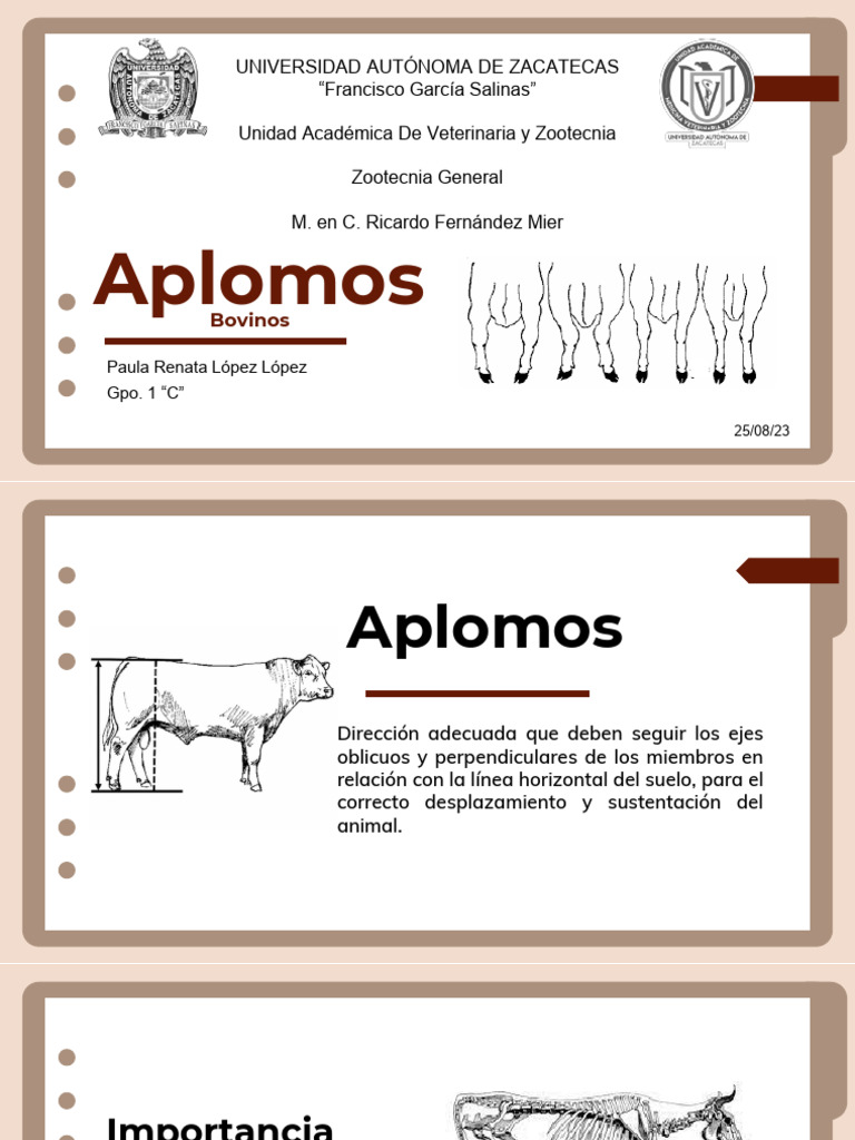 Aplomos | PDF | Sistema musculoesquelético