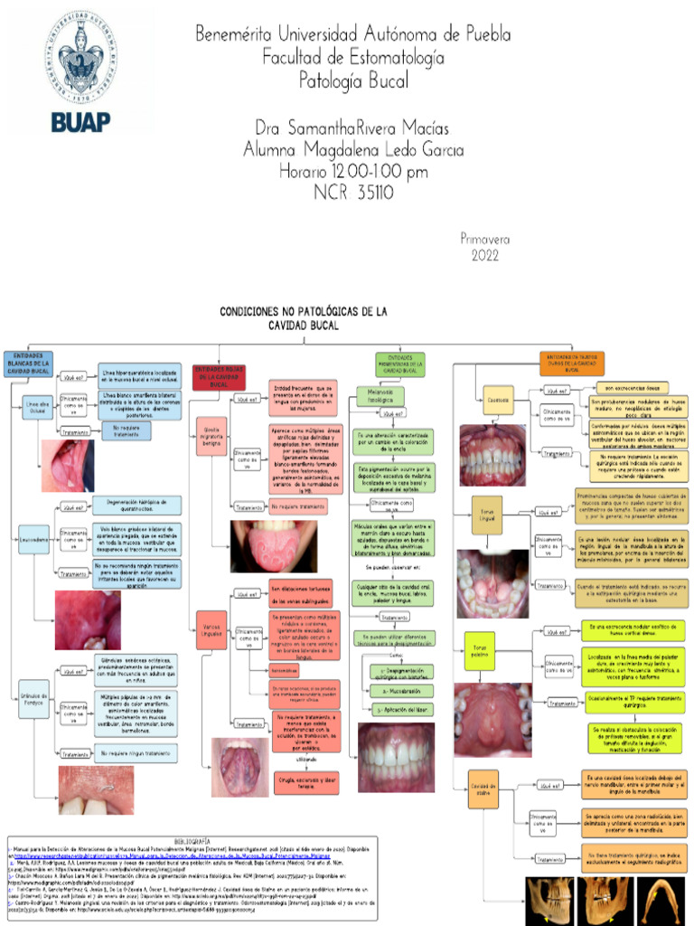Mapa de Condiciones No Patologicas de La Cavidad Bucal | PDF ...