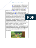 Capibara Matematico Primer Grado | PDF