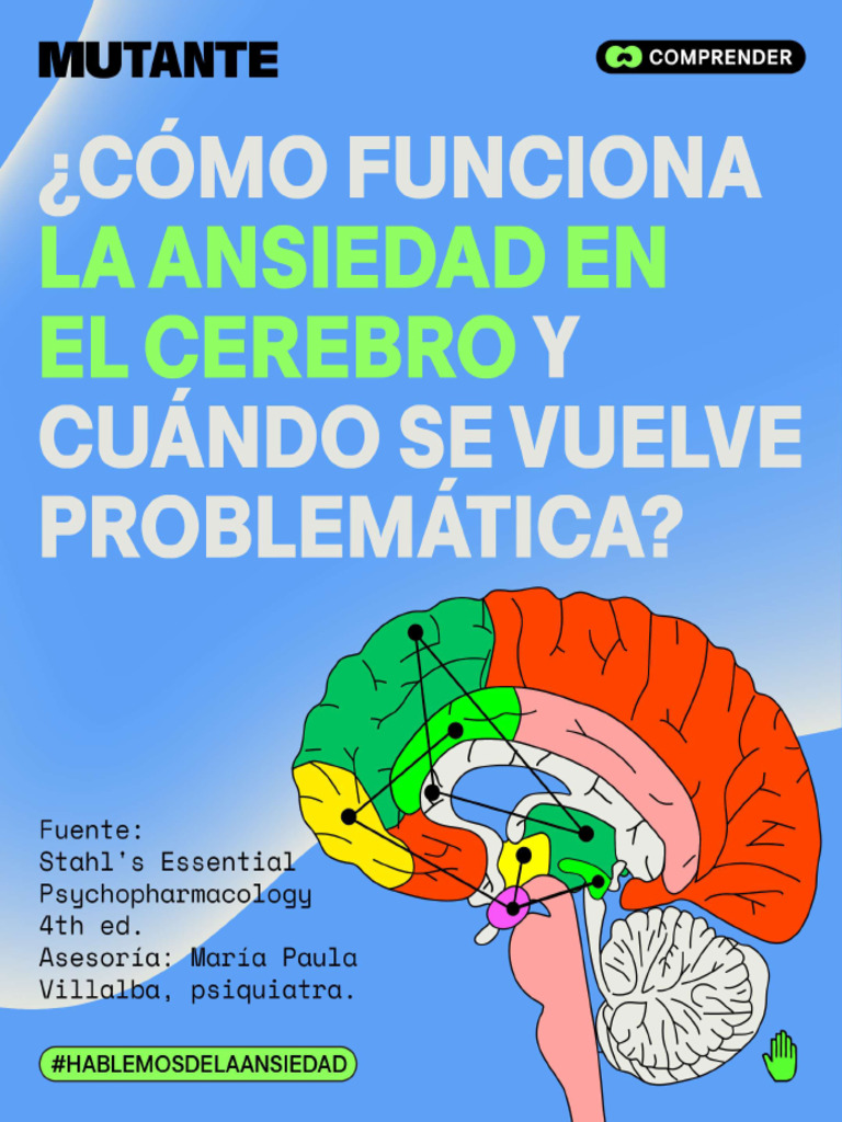 Ansiedad en El Cerebro | PDF