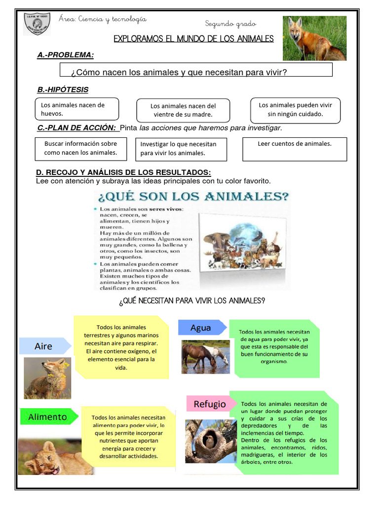Cyt Ficha Exploramos El Mundo de Los Animales | PDF