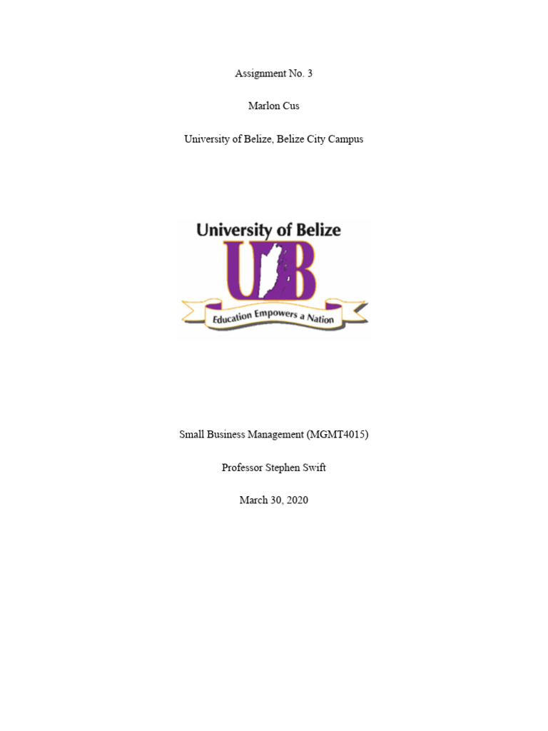 Assignment No.3 SBM | PDF