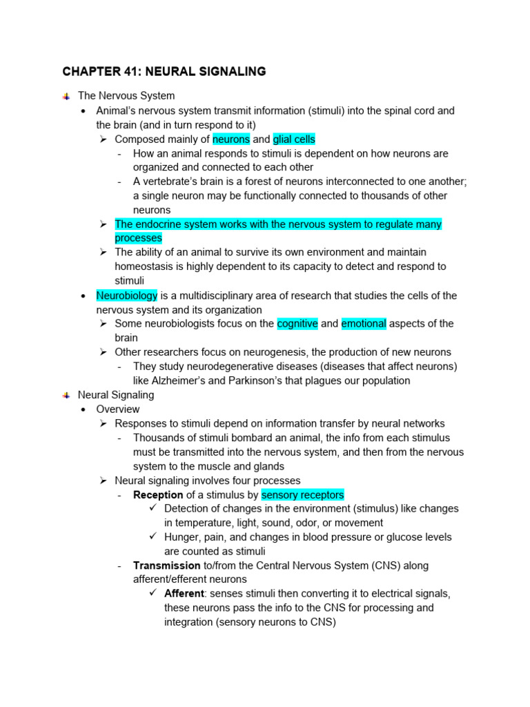 Gen Bio 4 Nervous System | PDF | Neuron | Central Nervous System