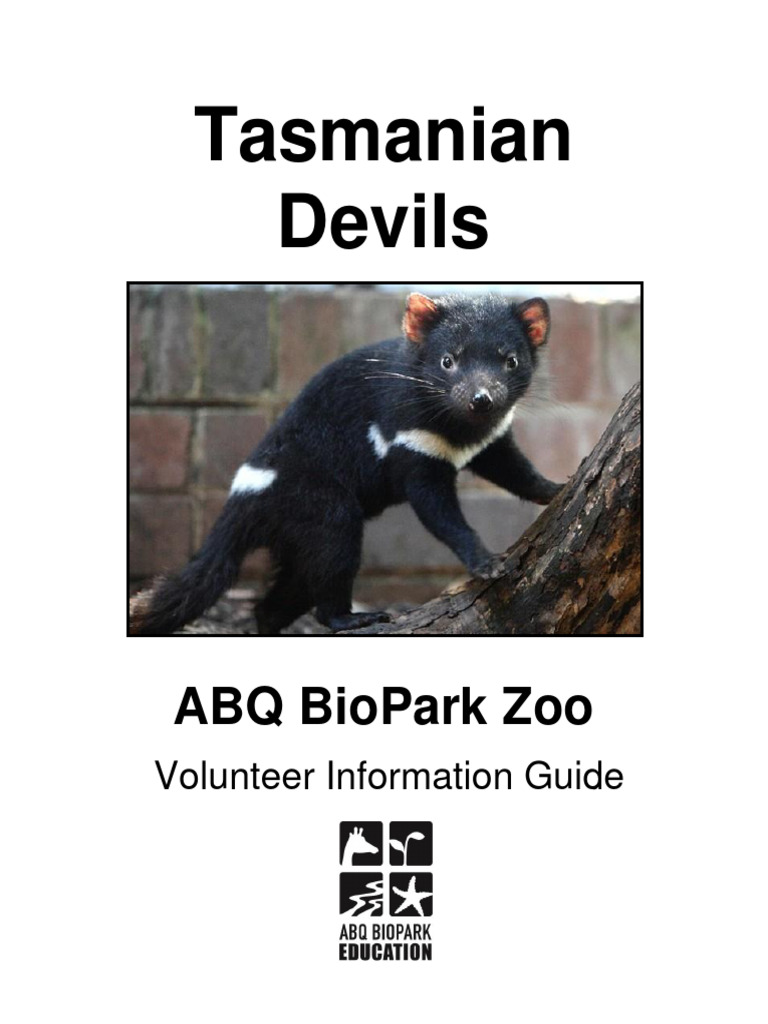 Tasmanian Devils | PDF
