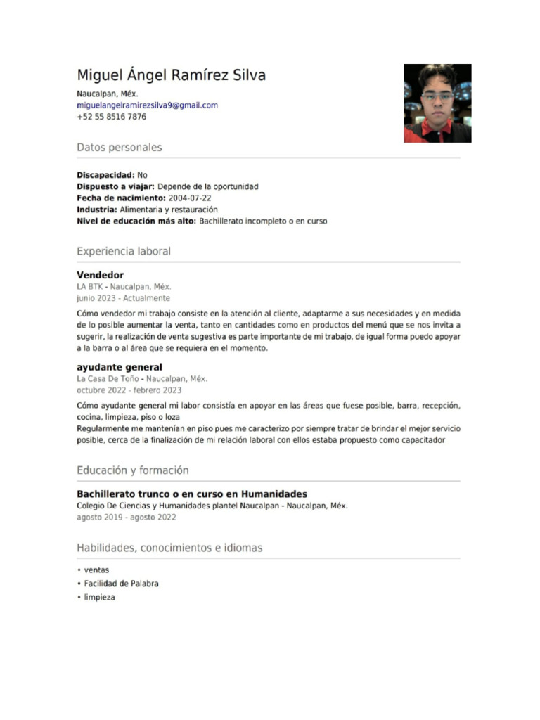 Currículum Miguel Ángel | PDF