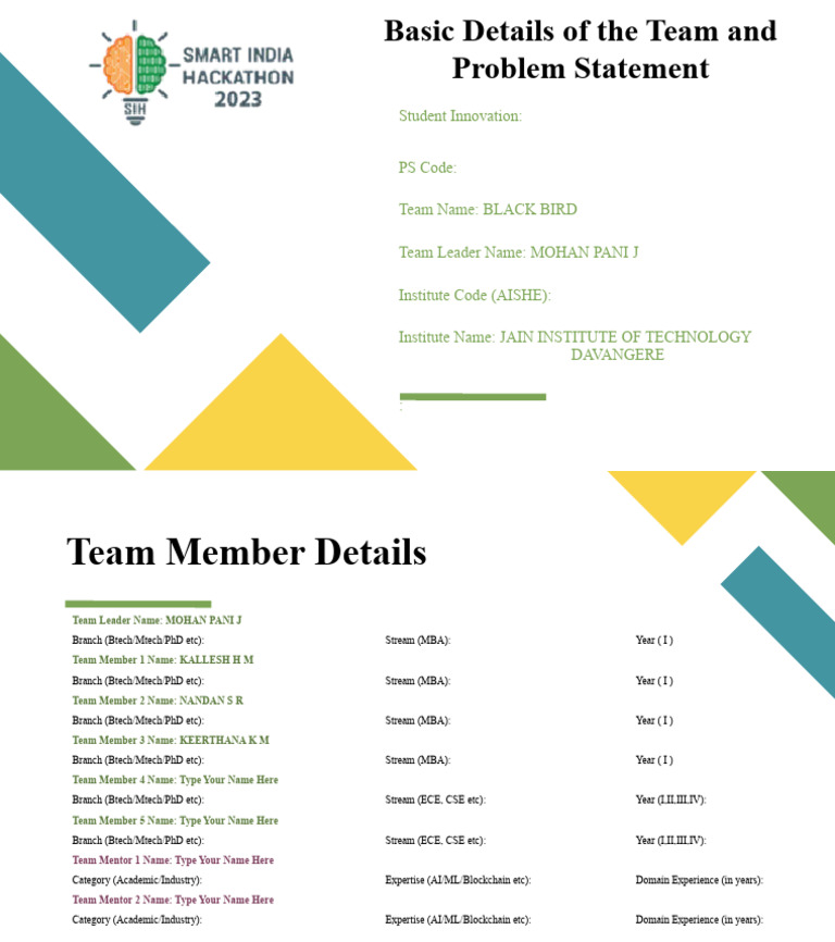 BLACK BIRD Team Overview and Members | PDF | Career & Growth