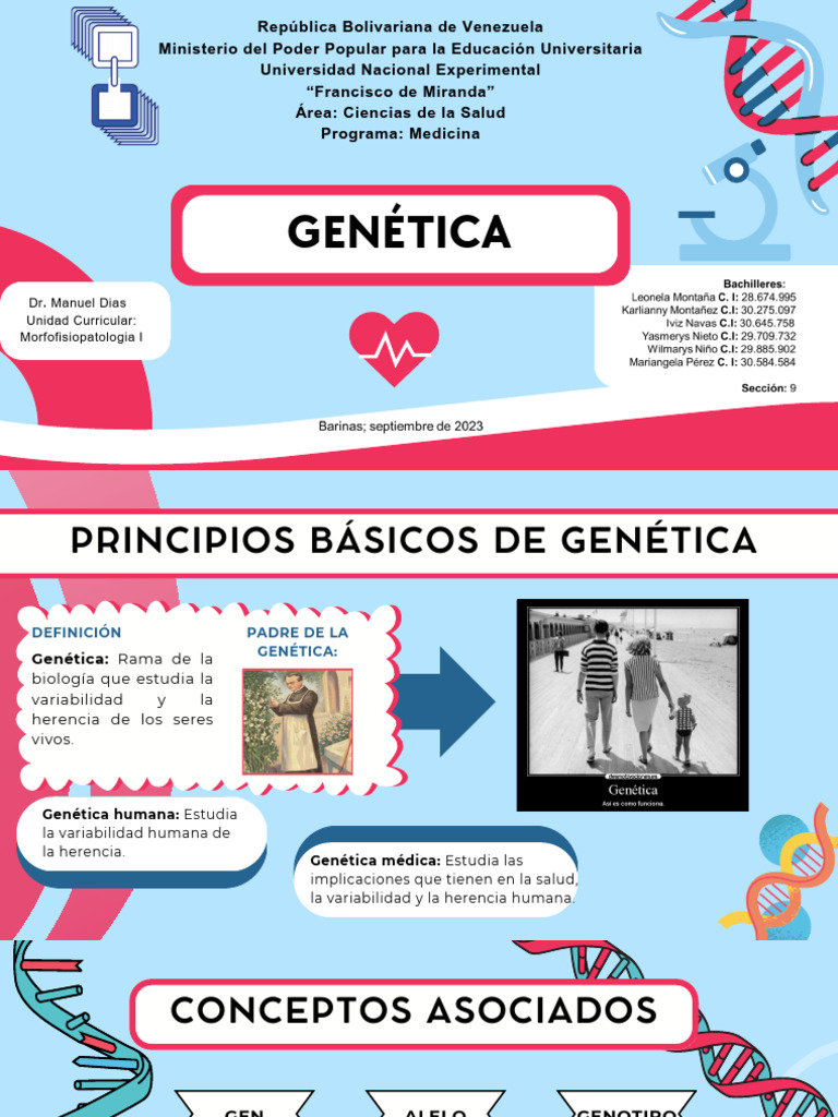 Genética ? | PDF | Dominancia (Genética) | Cigosidad