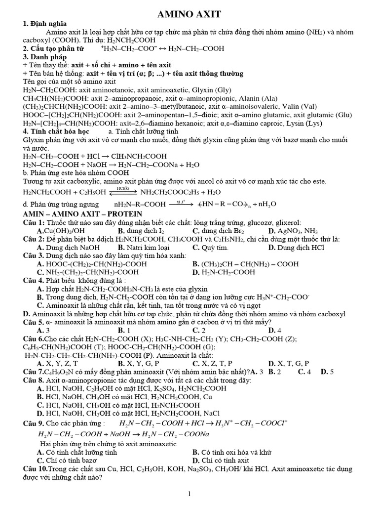 Bai Tap LT AMIN AMINOAXIT PEPTIT | PDF