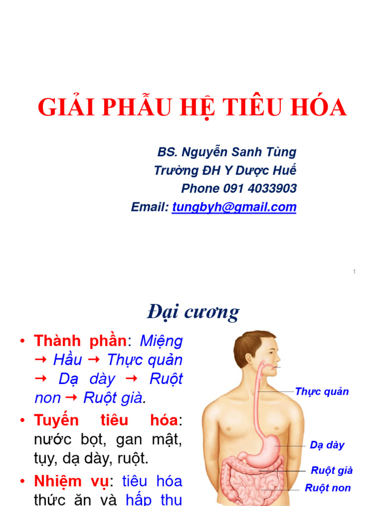 He Tieu Hoa 4t | PDF