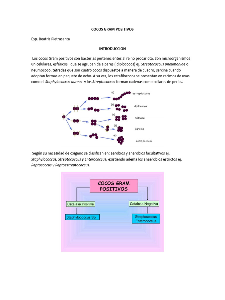 Cocos Gram Positivos - Estafilococos y Estreptococos Um | PDF ...