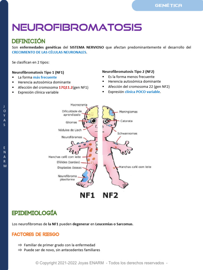 Neurofibromatosis (NF1 y NF2) | PDF | Medicina CLINICA | Causas de la muerte