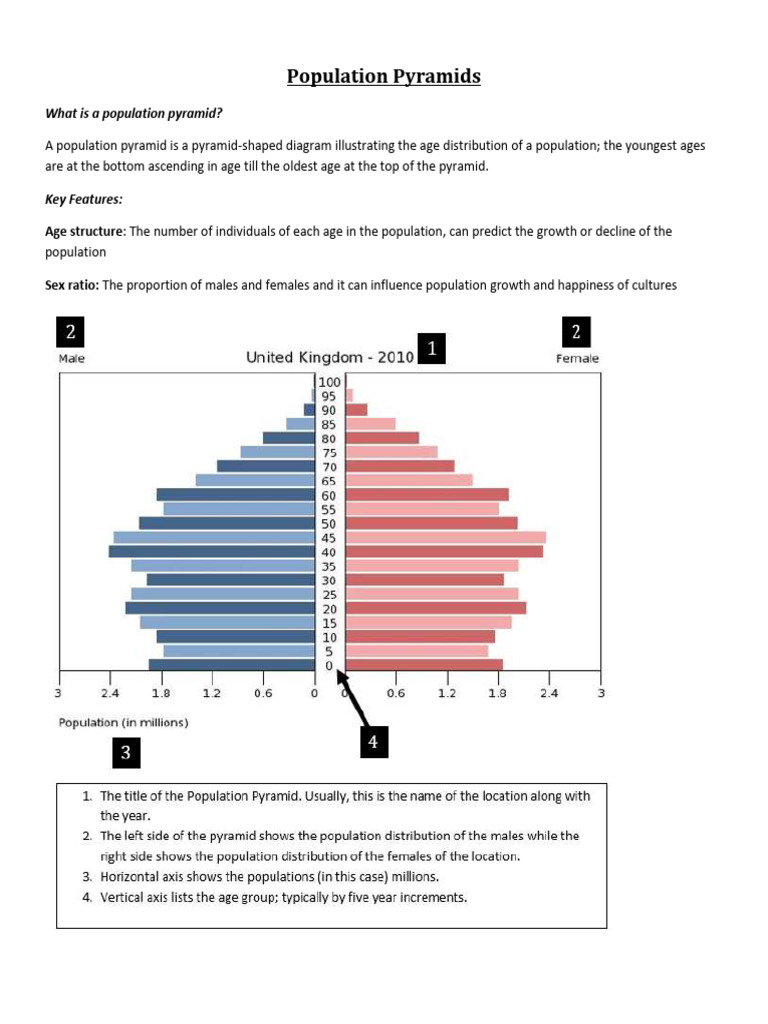 Negative Growth Population Pyramid Analysis | PDF