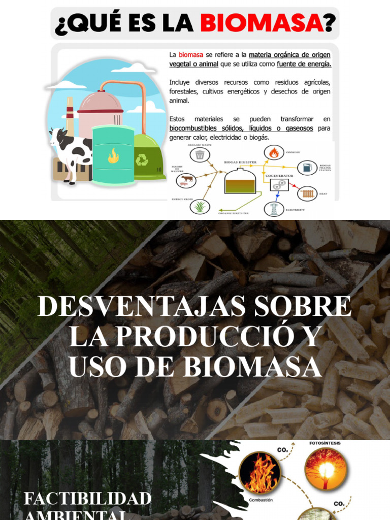 Presentacion - BIOMASA MALA | PDF | Biomasa | Contaminación