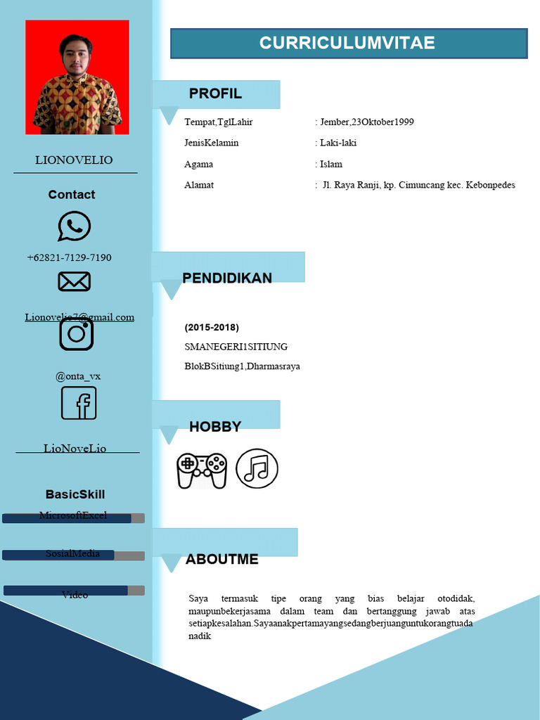 Curriculumvitae: Profil | PDF