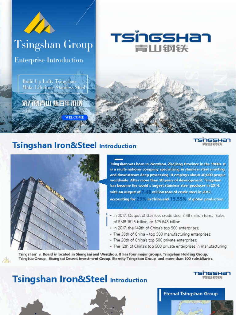 Presentation of Tsingshan Steel | PDF