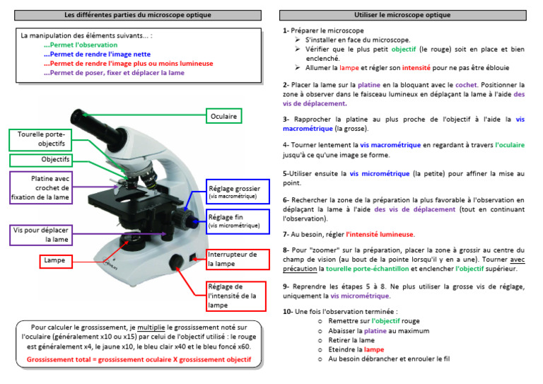 Fiche M Thode Nouveaux Microscopes | PDF