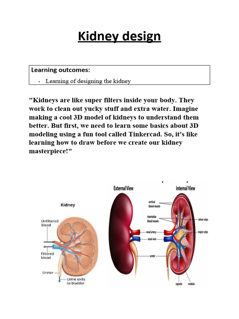 7th - 3d Design - Kidney Design | PDF | Home & Garden
