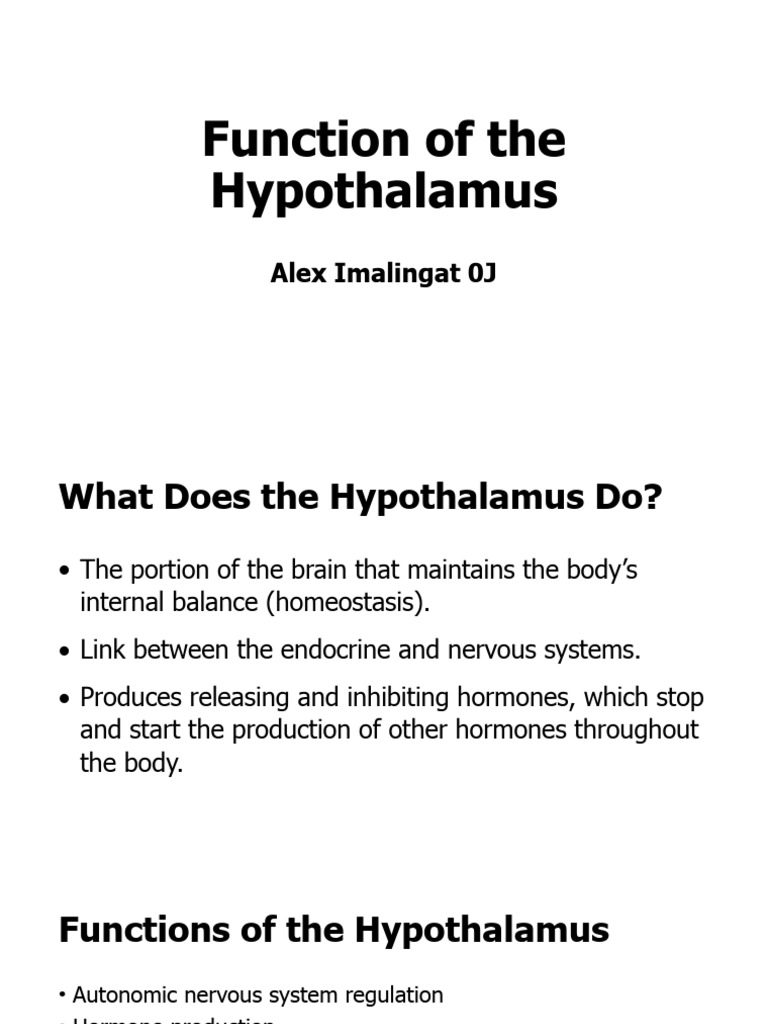 Function of The Hypothalamus | PDF