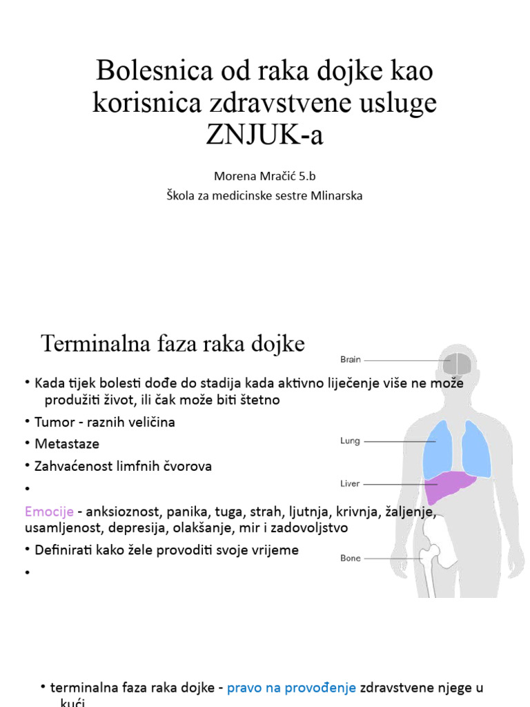 Bolesnica Od Raka Dojke Kao Korisnica Zdravstvene | PDF