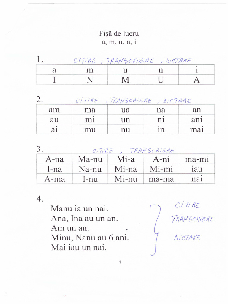 SCAN - 2023 Fisa de Citire, Scriere, Dictare Amnui | PDF