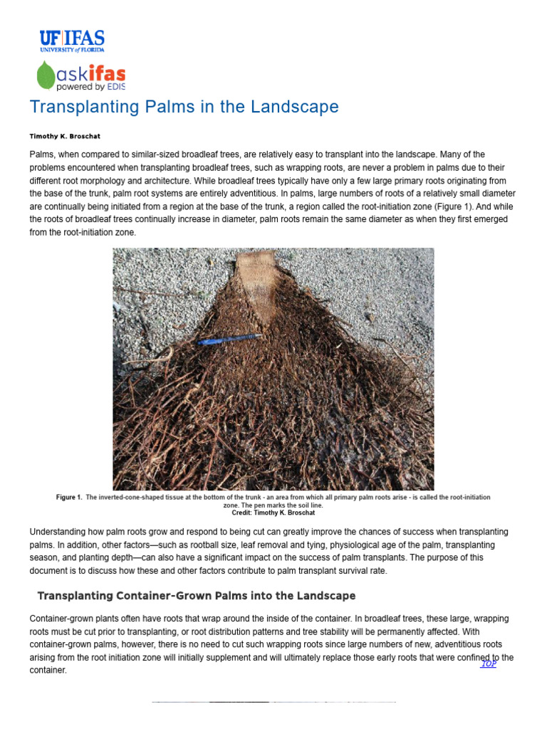 CIR1047 - EP001 - Transplanting Palms in The Landscape | PDF