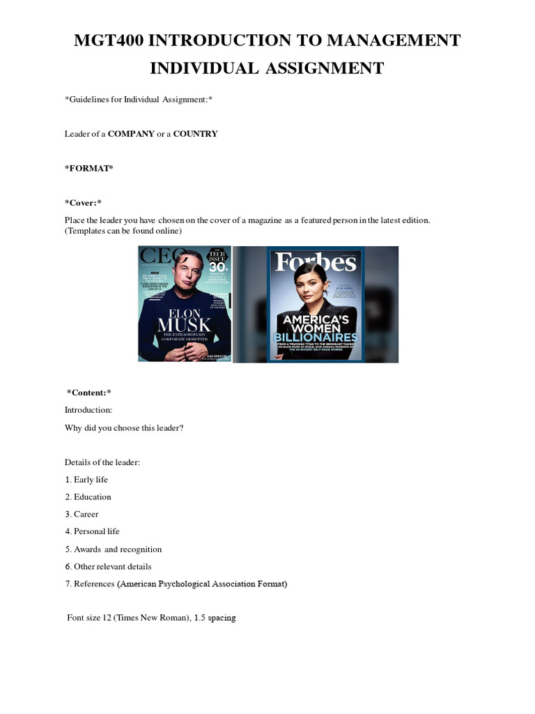 Individual Assignment MGT400 | PDF