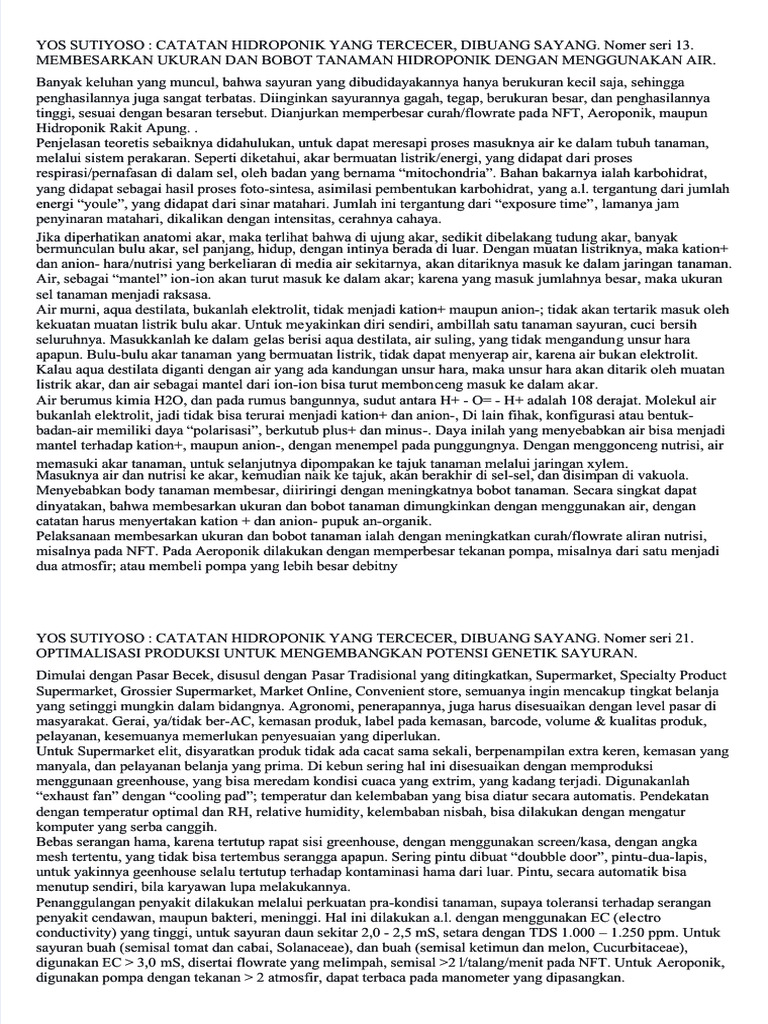 PDF Yos Sutiyoso - Compress | PDF