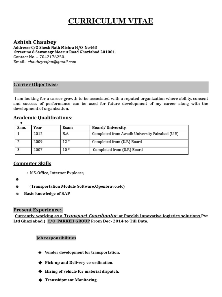 Curriculum Vitae: Ashish Chaubey | Download Free PDF | Computing