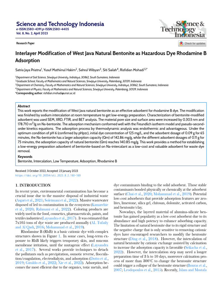 Sti Template | PDF | Adsorption | Applied And Interdisciplinary Physics