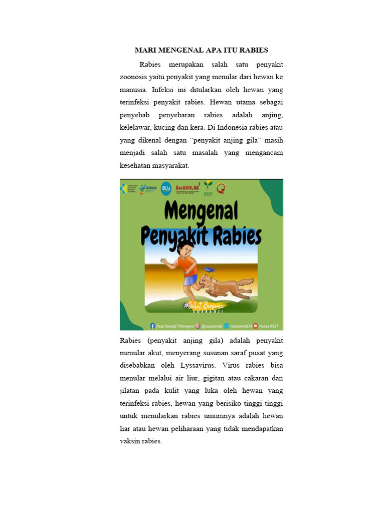 Mengenal Bahaya Rabies | PDF | Kesehatan Holistik