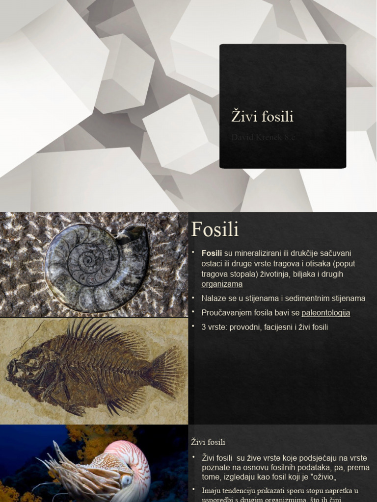 Živi fosili | PDF