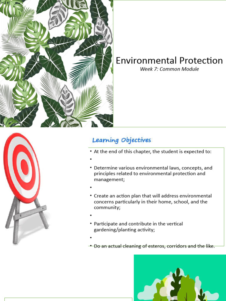 Philippine Agenda 21 Overview | PDF | Pollution | Sustainability