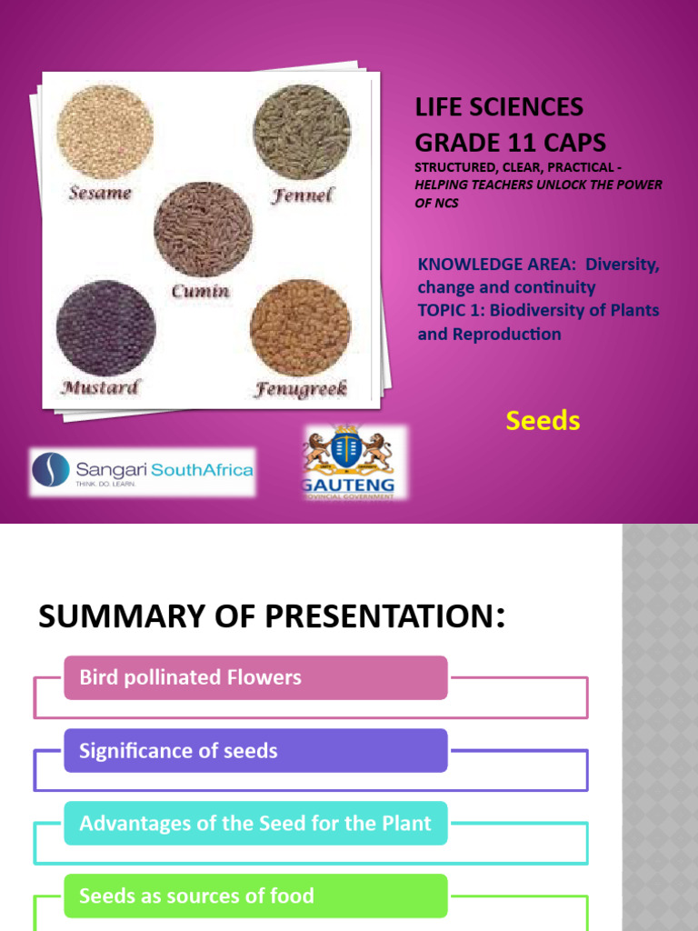 Pp11 Seeds | PDF | Seed | Flowers