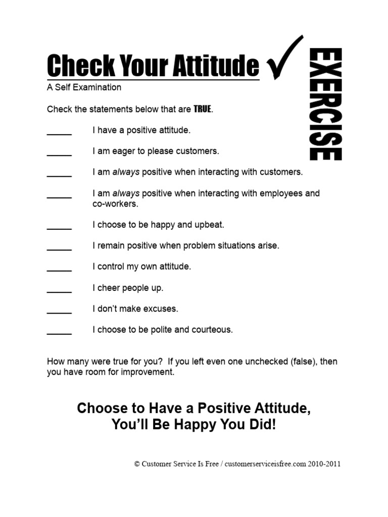 Check Your Attitude | PDF
