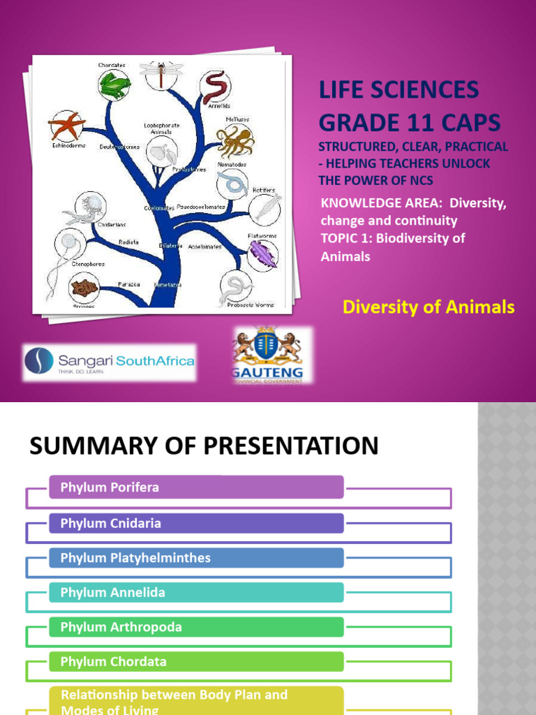 Diversity of Animals | PDF | Anatomy | Biology