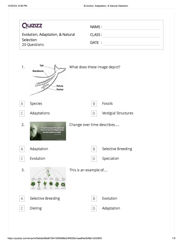 Bio Worksheet 3 | PDF | Evolution | Natural Selection