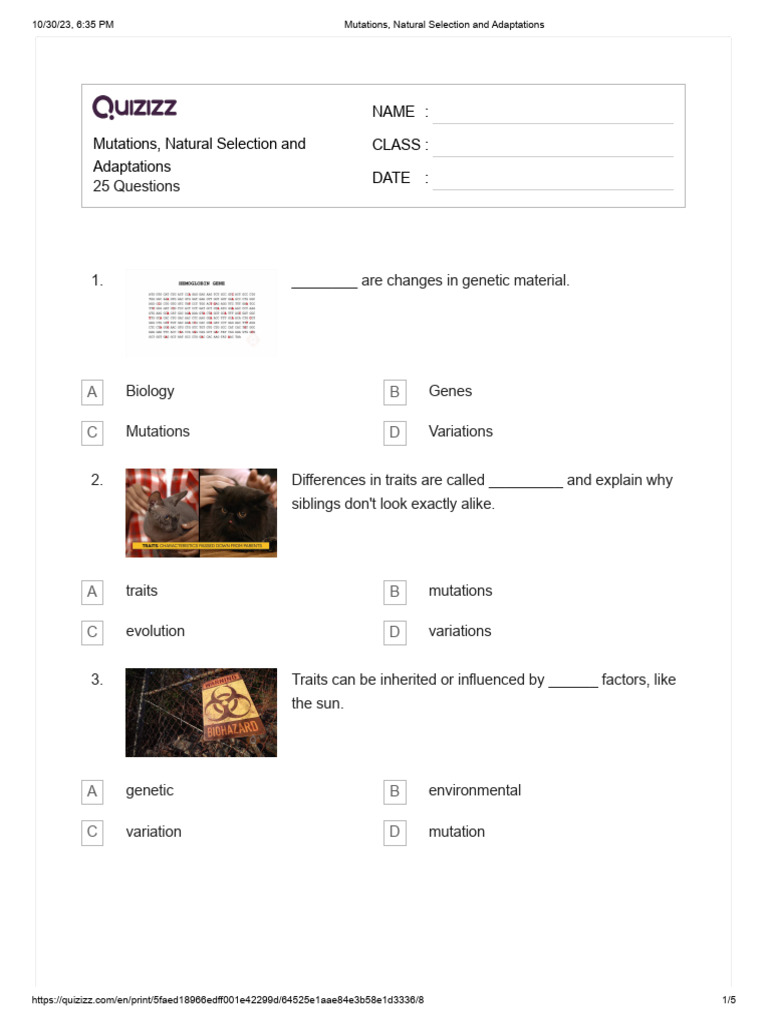 Bio Worksheet 1 | PDF | Natural Selection | Mutation