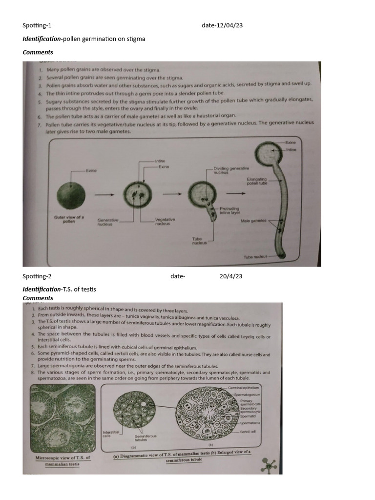 Class-12 Spotting File | PDF