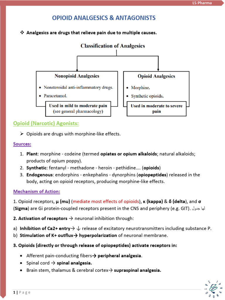 Pharam L5 | PDF | Opioid | Analgesic