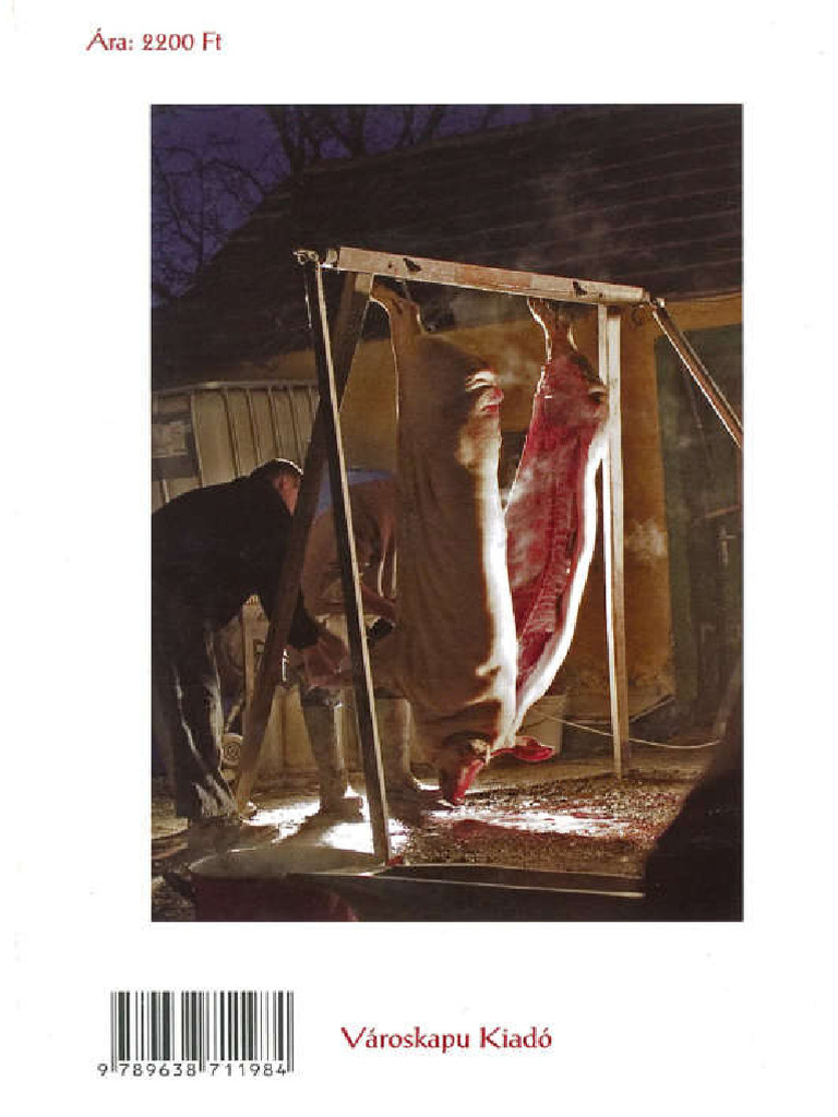 Vasi Zalai Parasztételek | PDF