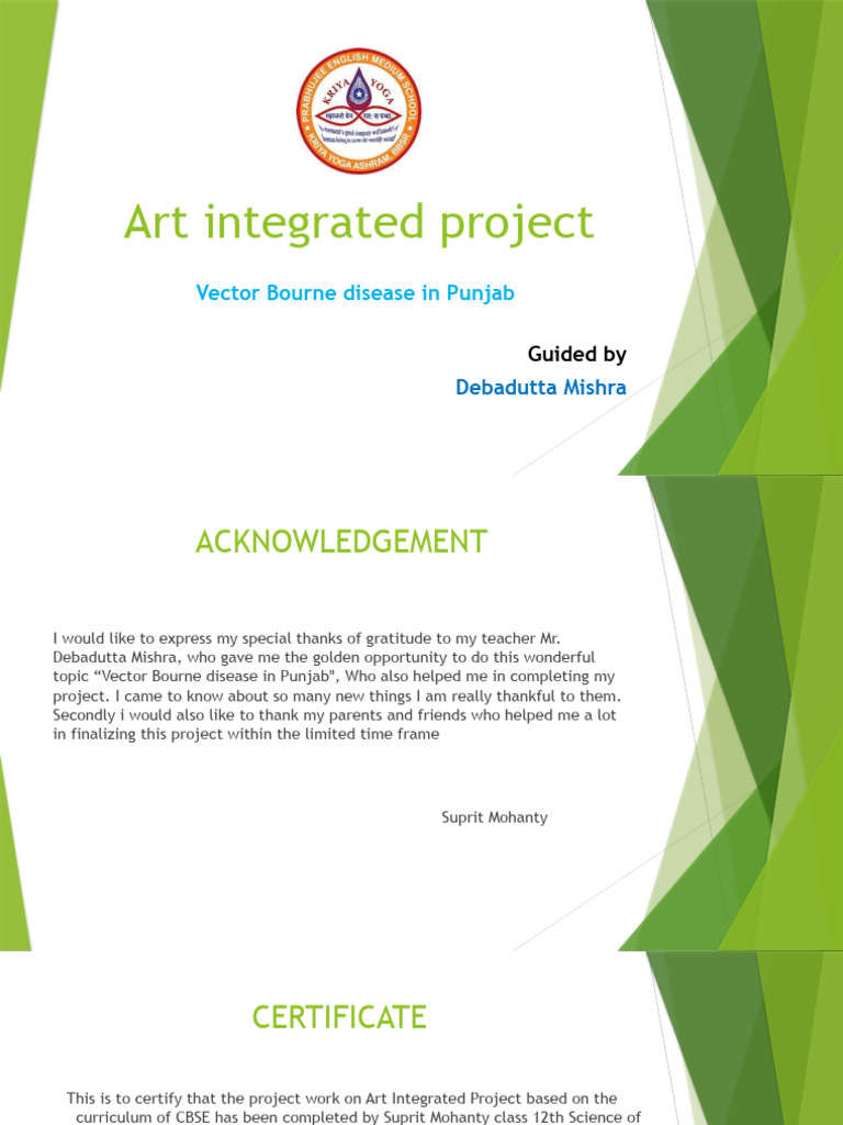 Presentation (1) Rohan | PDF