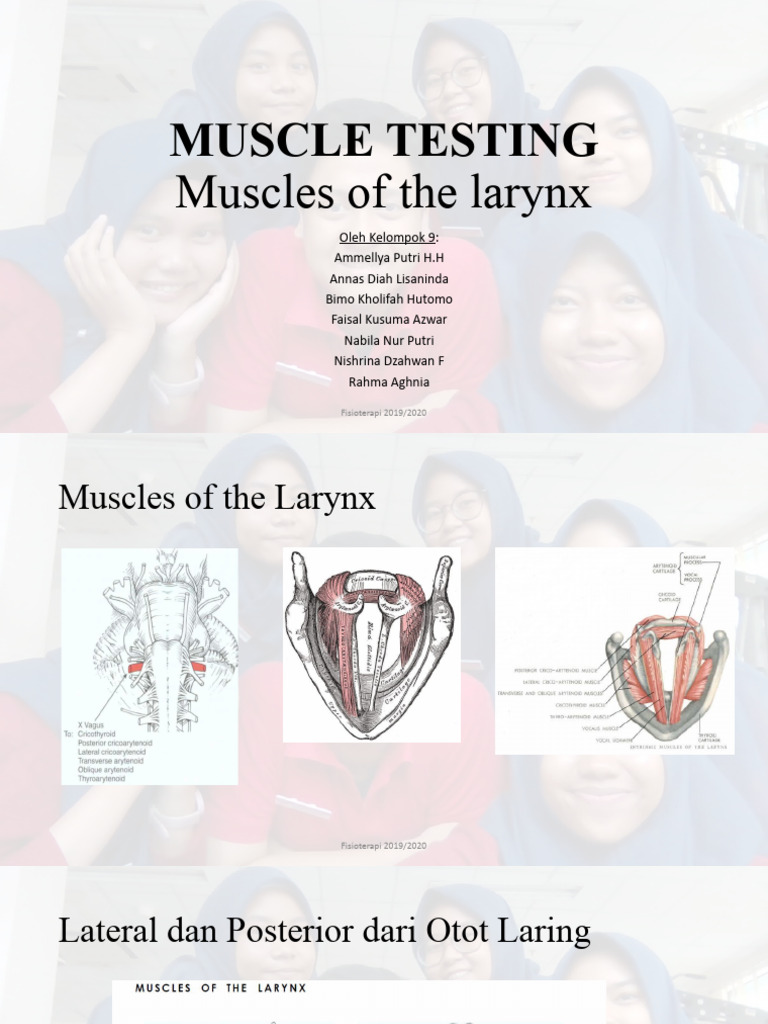 Anatomi Kel Laring | PDF