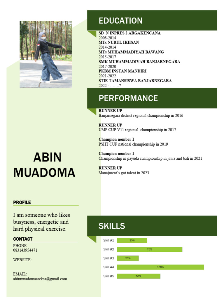 Cubist Resume | PDF