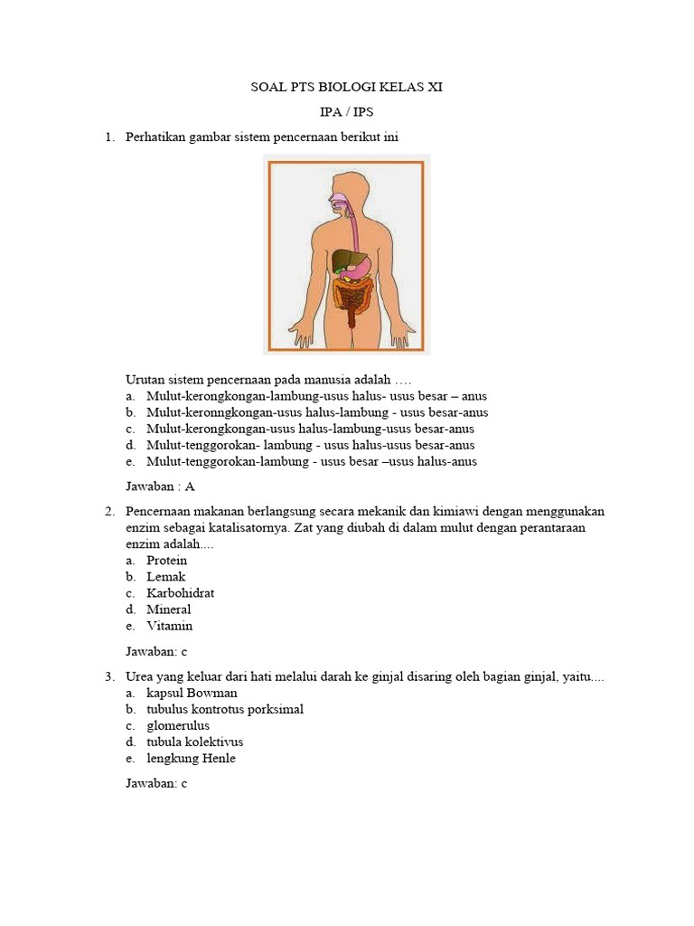 Soal PTS Biologi Kelas Xi Semester 2 | PDF