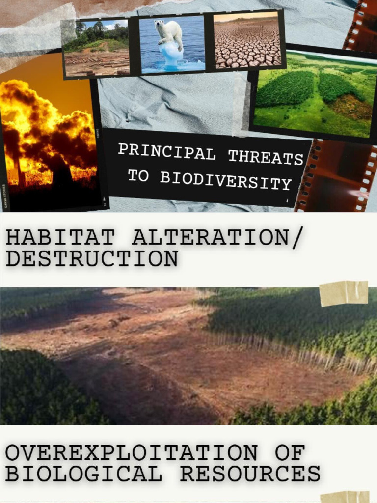 3.2 Principal Threats To Biodiversity | PDF