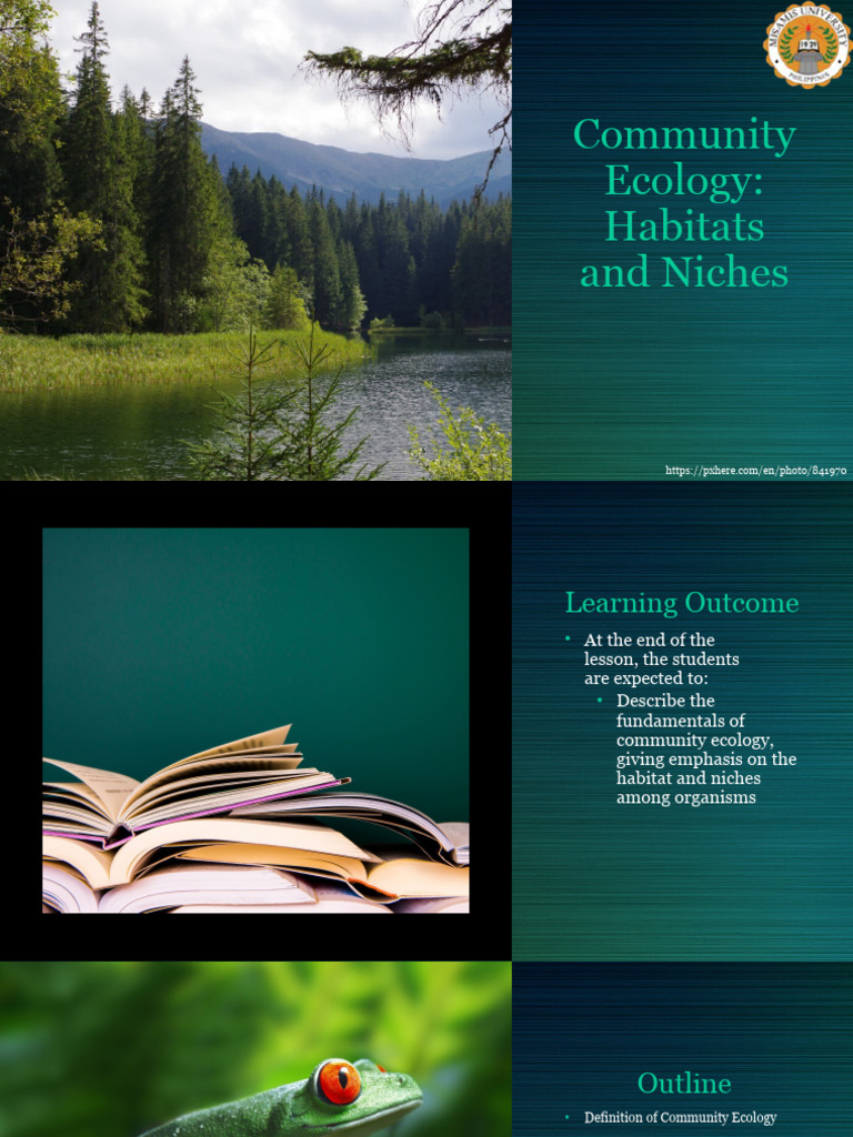 Habitats and Niches1 | Download Free PDF | Ecological Niche | Earth ...
