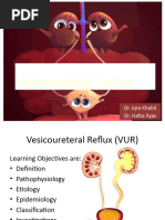 RGU and MCU PPT Final For 18.9.23, Bsmmu | PDF | Urinary System | Urology