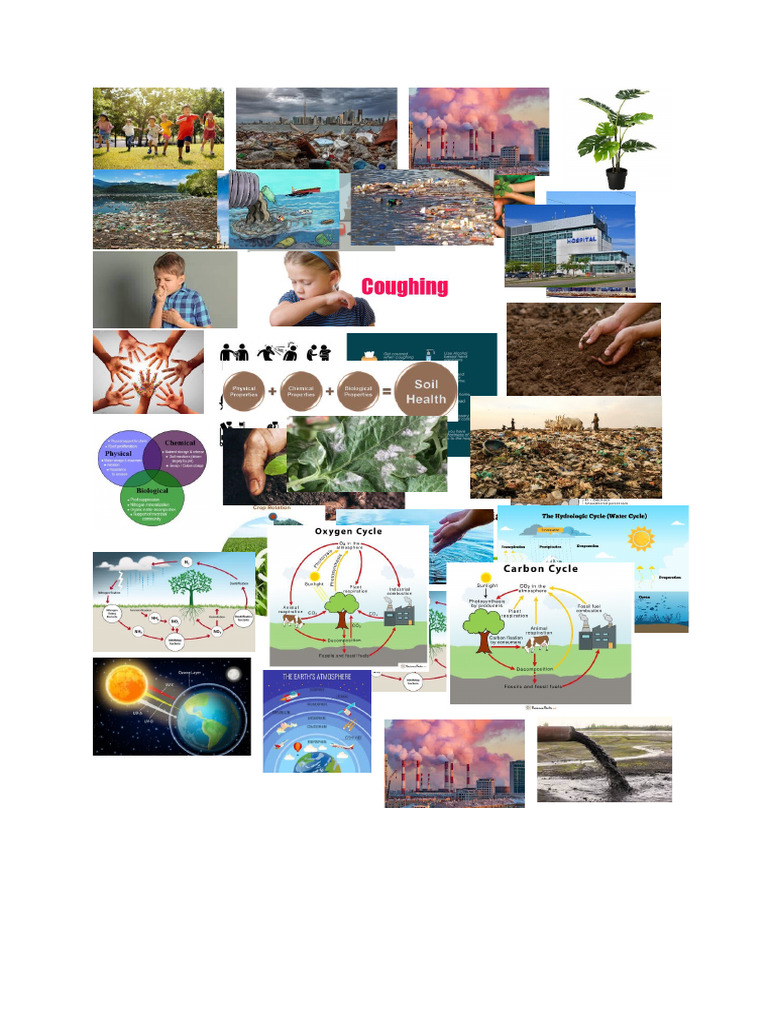 Bio Lesso Plan | PDF