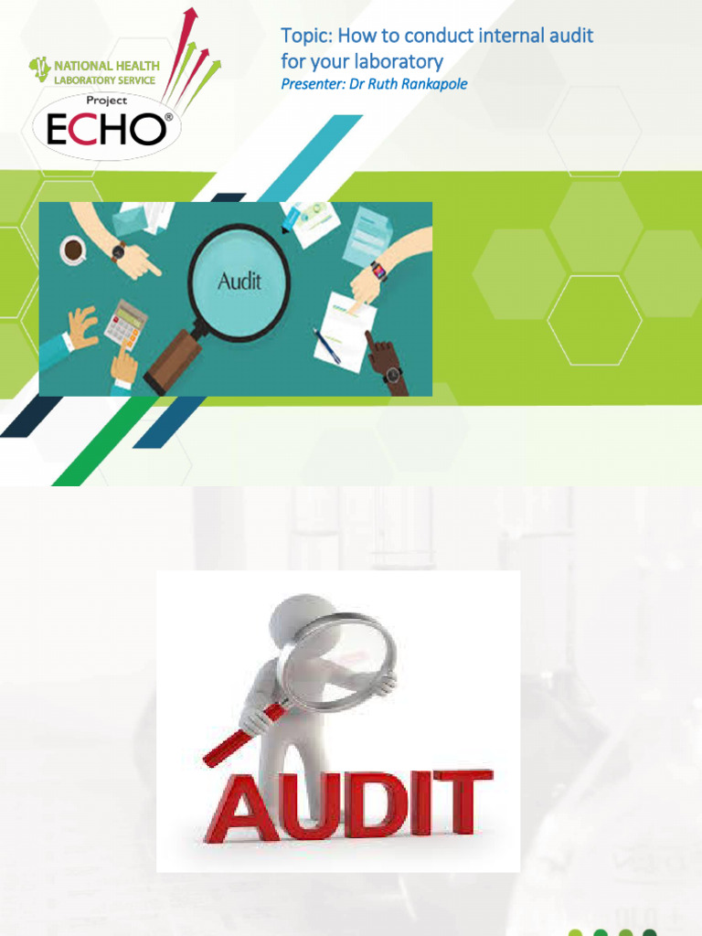 How To Conduct Internal Audit | PDF