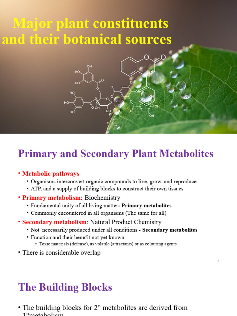 3 Major Plant Constituents and Thier Botanical Sources by Betty | PDF ...